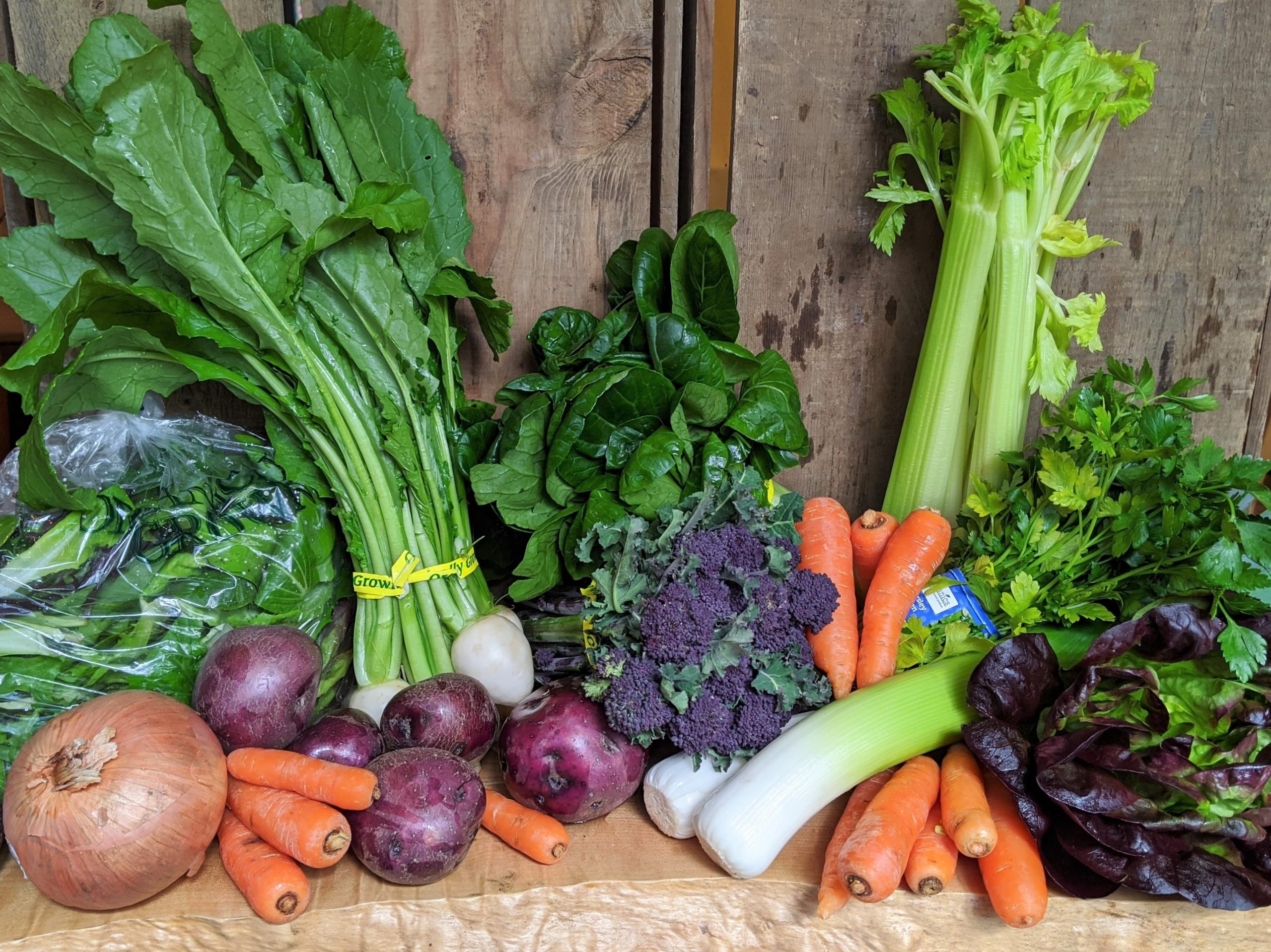 Vegatables CSA | POTs and PANs